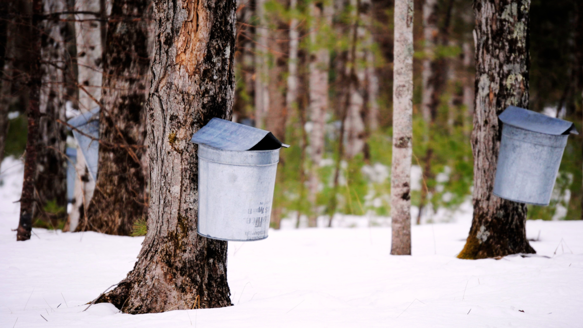 Spring Trip Ideas for the White Mountains | Hiking & Dining