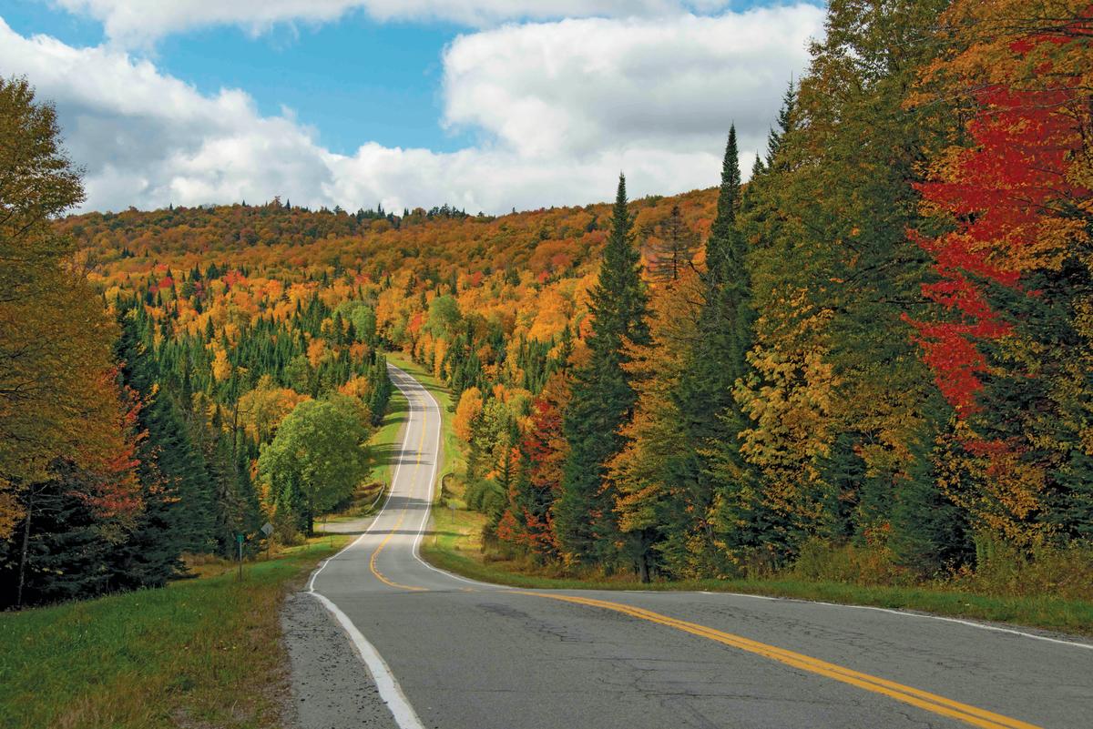 Fall Foliage in the White Mountains | Find Autumn Colors