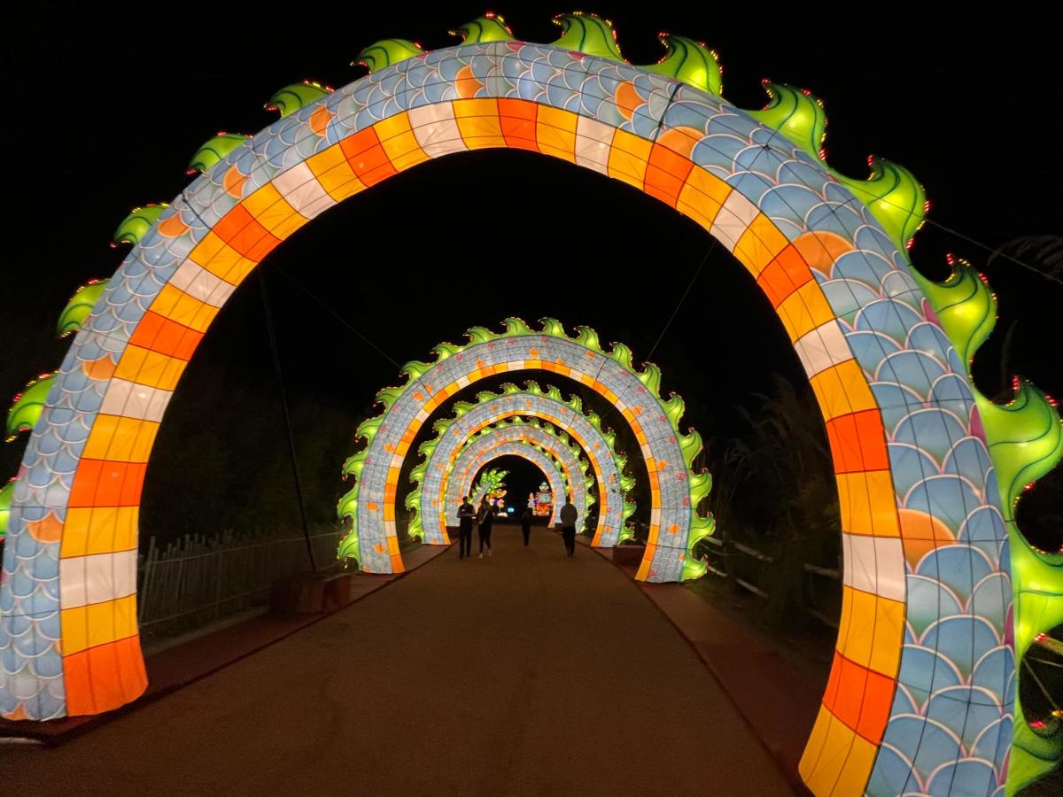 Wichita Events November 2024 | Top Things to Do This Month