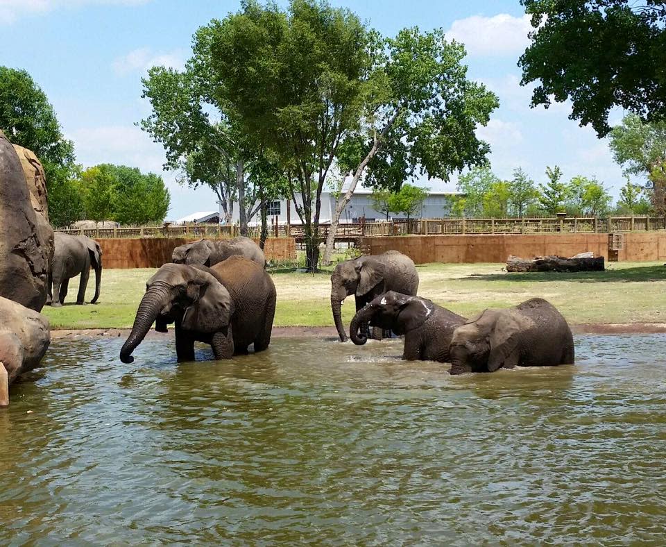 Wichita Outdoors - Parks, Zoos, Nature, & More