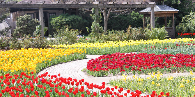 15 of America’s Most Beautiful Places to Visit in the Spring