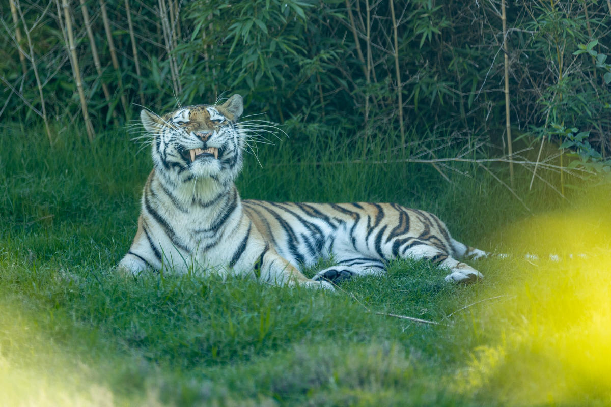 Timothy Larsen photo gallery | Wichita's fun and games