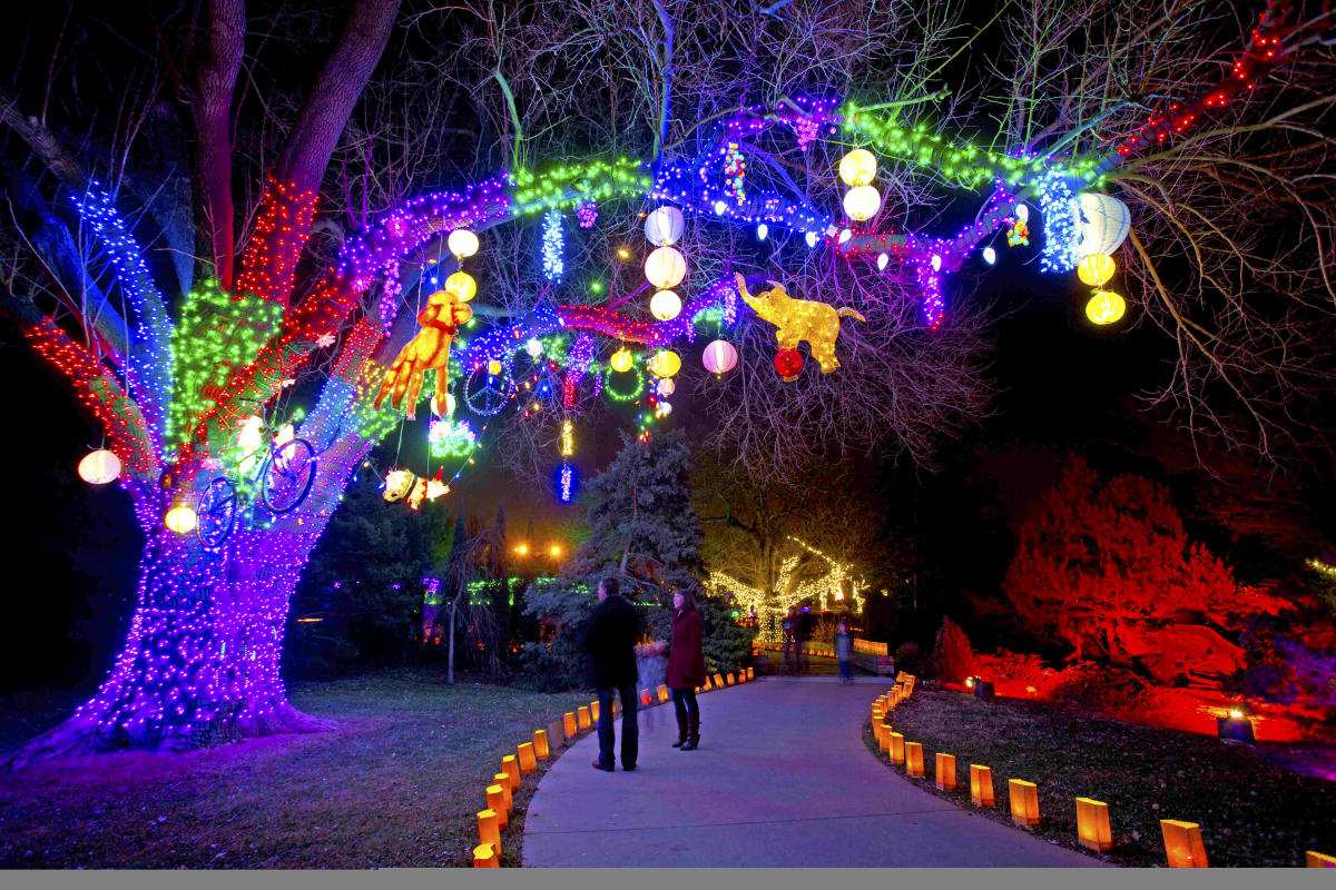 These are the dazzling Christmas light displays across America