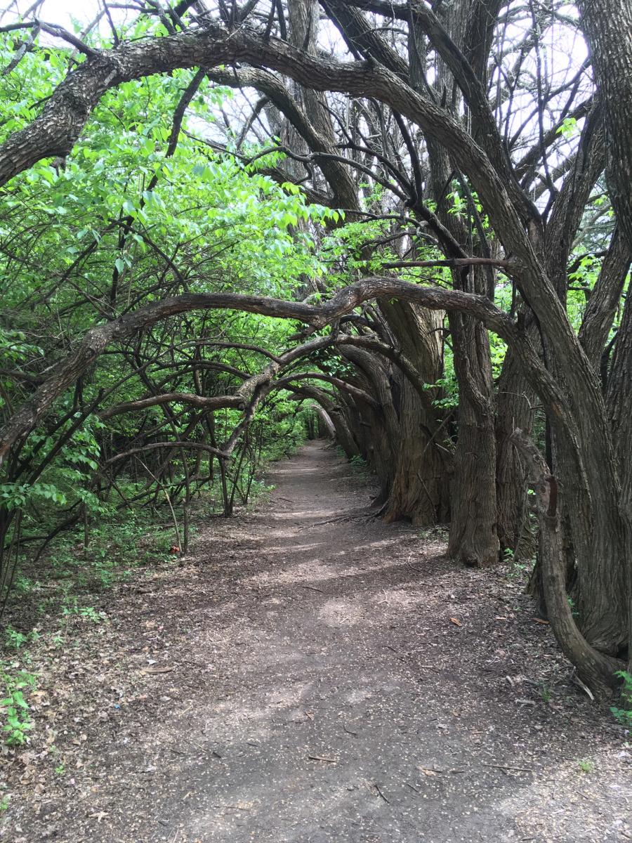 Great Plains Nature Center | Visit Wichita