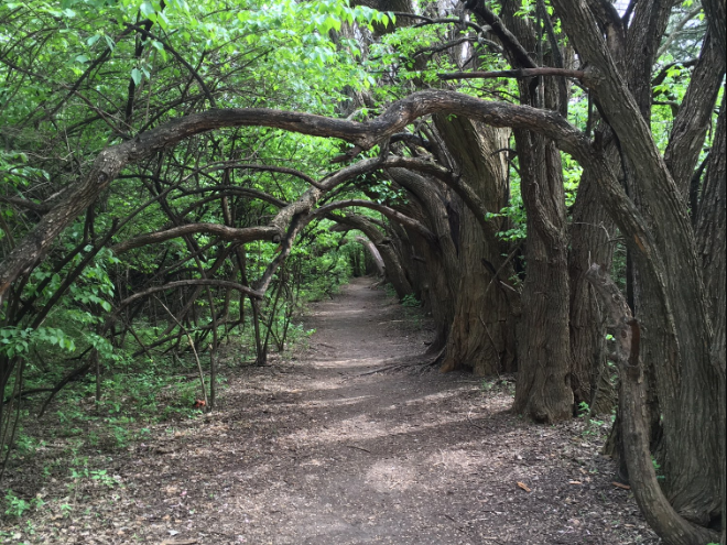 Wichita Parks & Nature - Explore, Hikes, Bike, & More