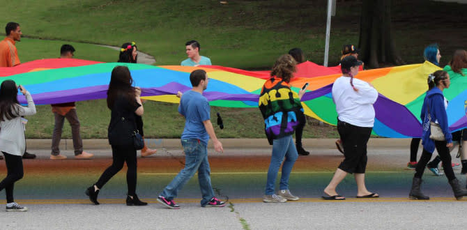 Wichita’s LGBT+ Community celebrates pride, diversity