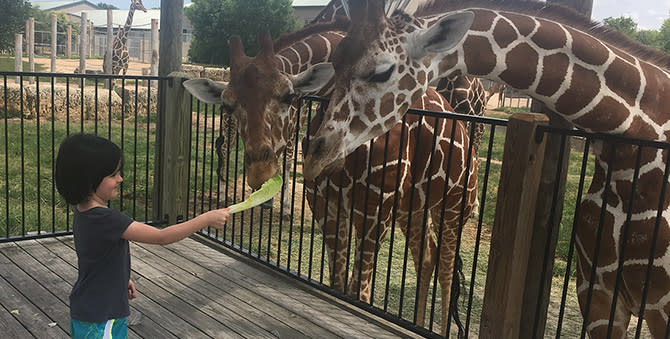 Sedgwick County Zoo & Tanganyika Wildlife Park offer amazing animal ...
