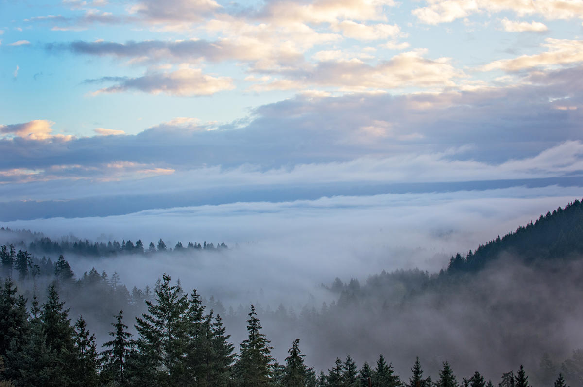 Chehalem Mountains AVA | Willamette Valley Wineries