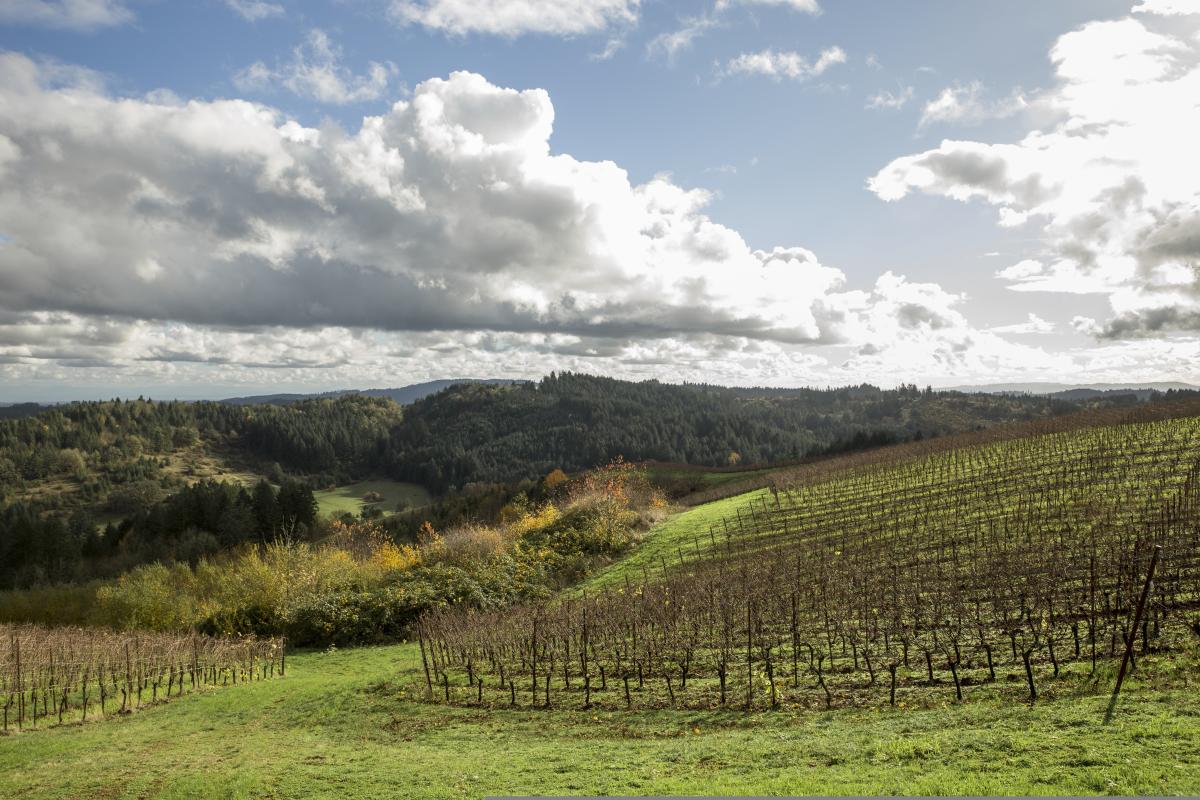 American Viticultural Areas | Willamette Valley Wineries