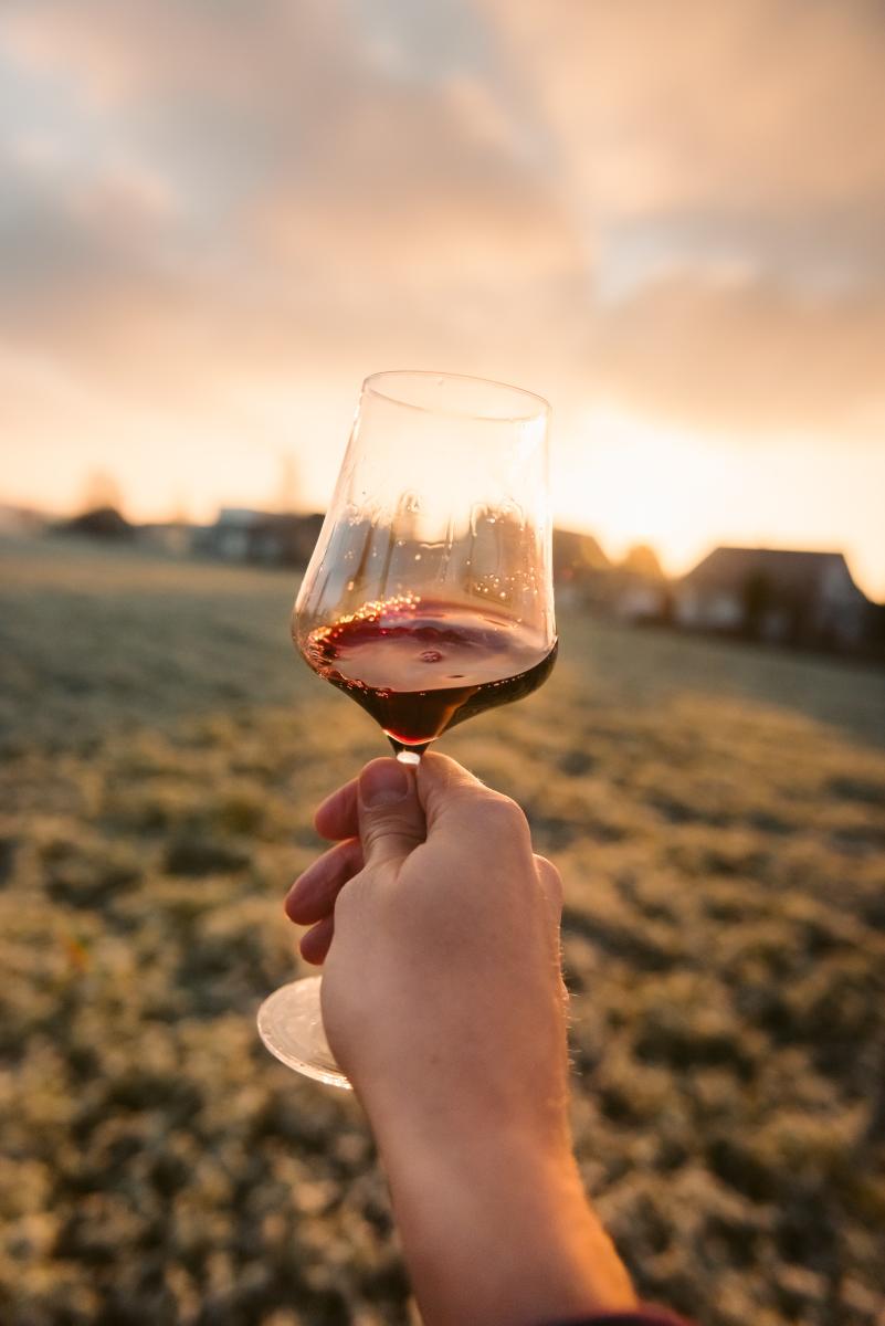 Oregon Wine Month | Willamette Valley Wineries