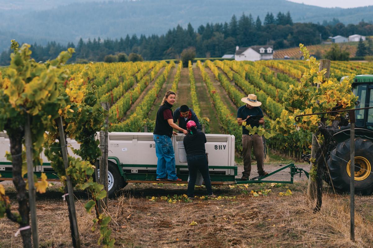 Willamette Valley Facts and Figures | Willamette Valley Wineries