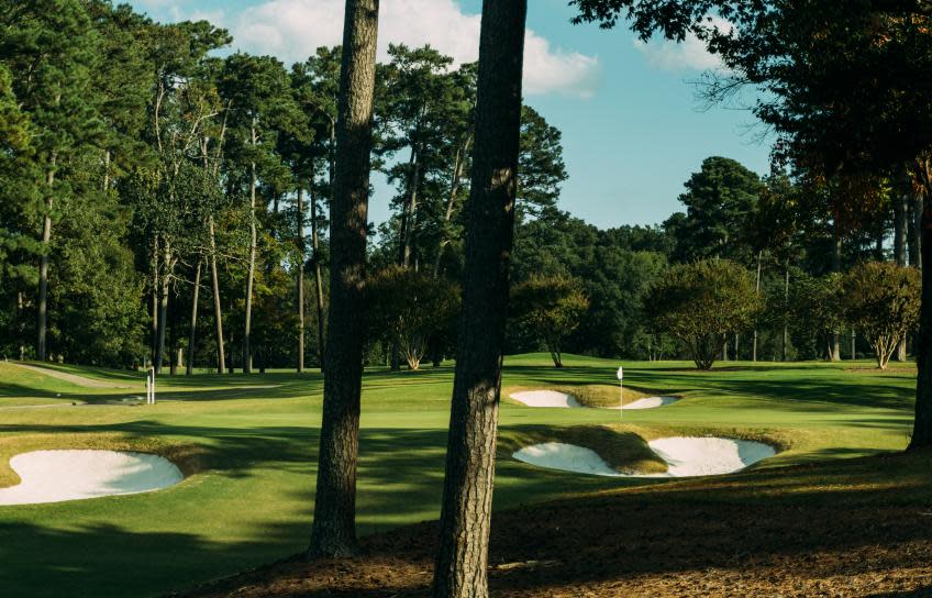Get into the "Swing" of Golf in Williamsburg