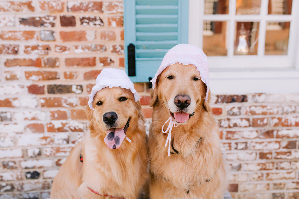 Koa and Lily Travel Back In Time | Williamsburg Tourism Council