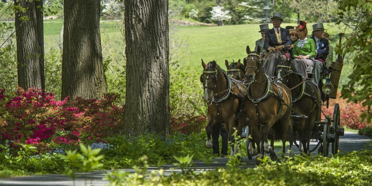 The Thrill and Tradition of Point-to-Point Steeplechase Returns to ...