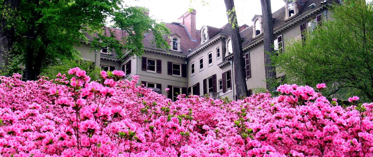 Celebrate National Garden Month in Wilmington, Delaware