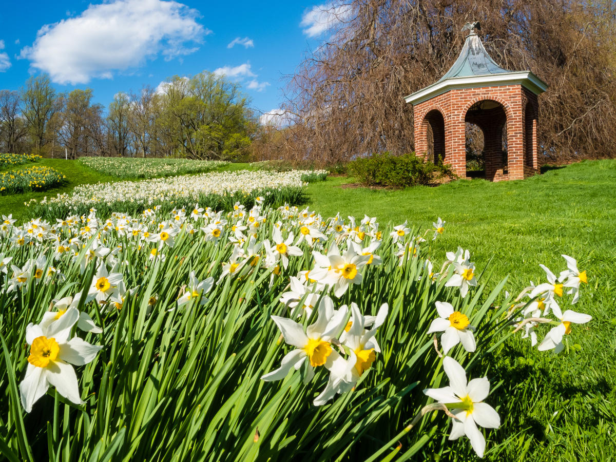 April Showers Bring Spring Flowers to Wilmington & the Brandywine Valley
