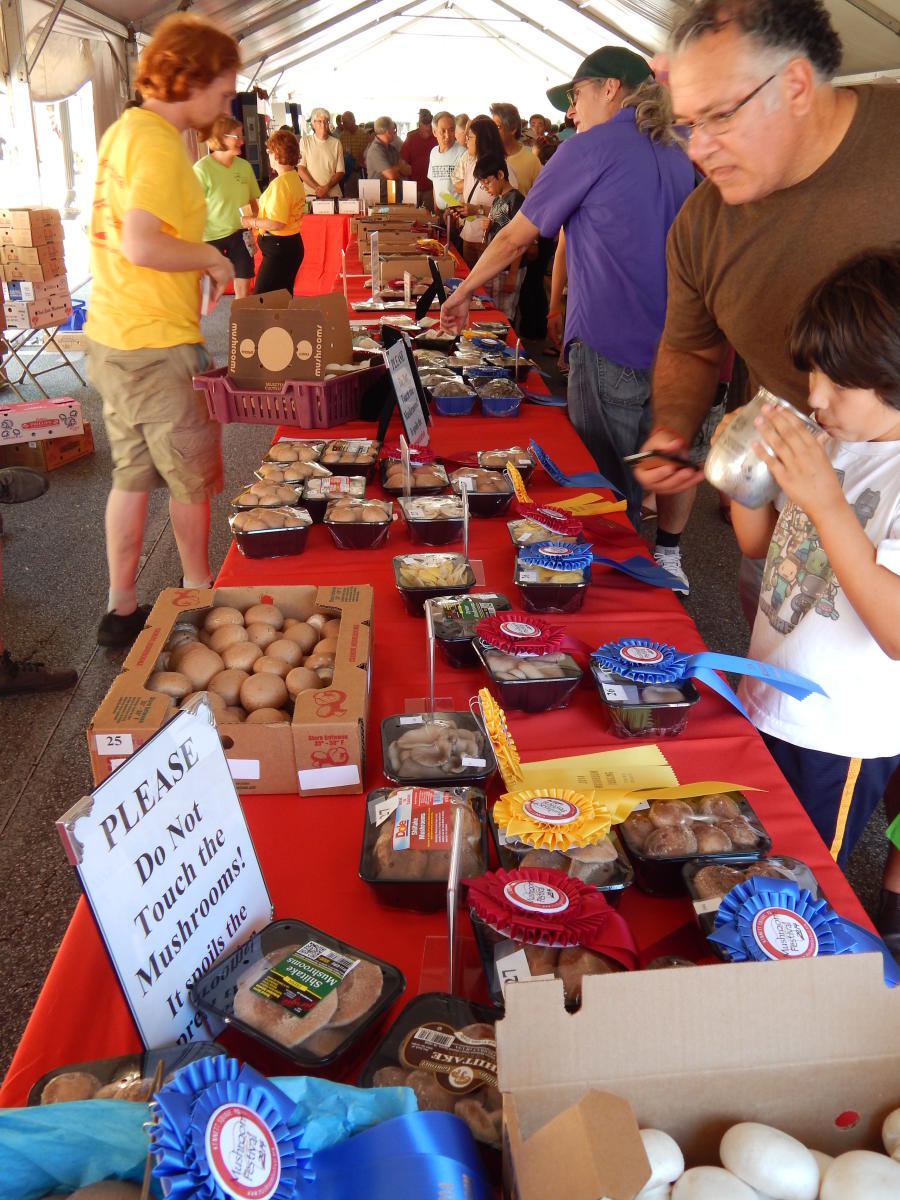 36th Annual Mushroom Festival Offers Fun, Food & of course FUNGI