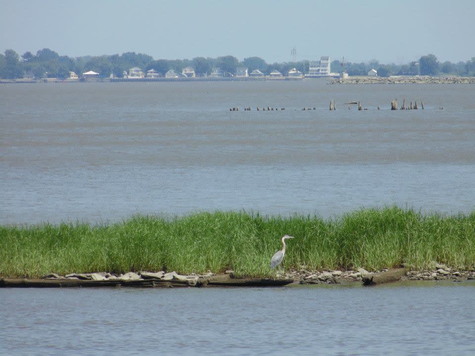 Delaware Bayshore Byway Gets a National Title