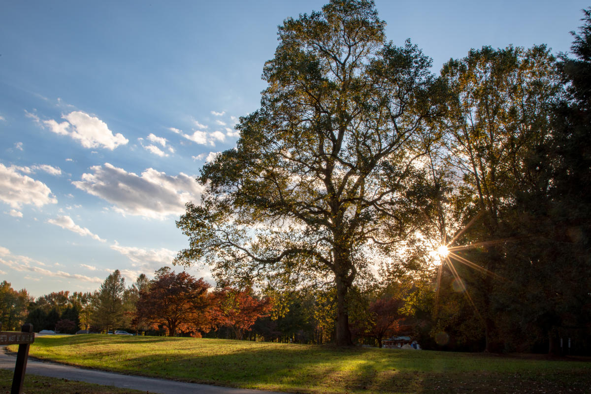 Events at Delaware State Parks | Camping & Fall Events