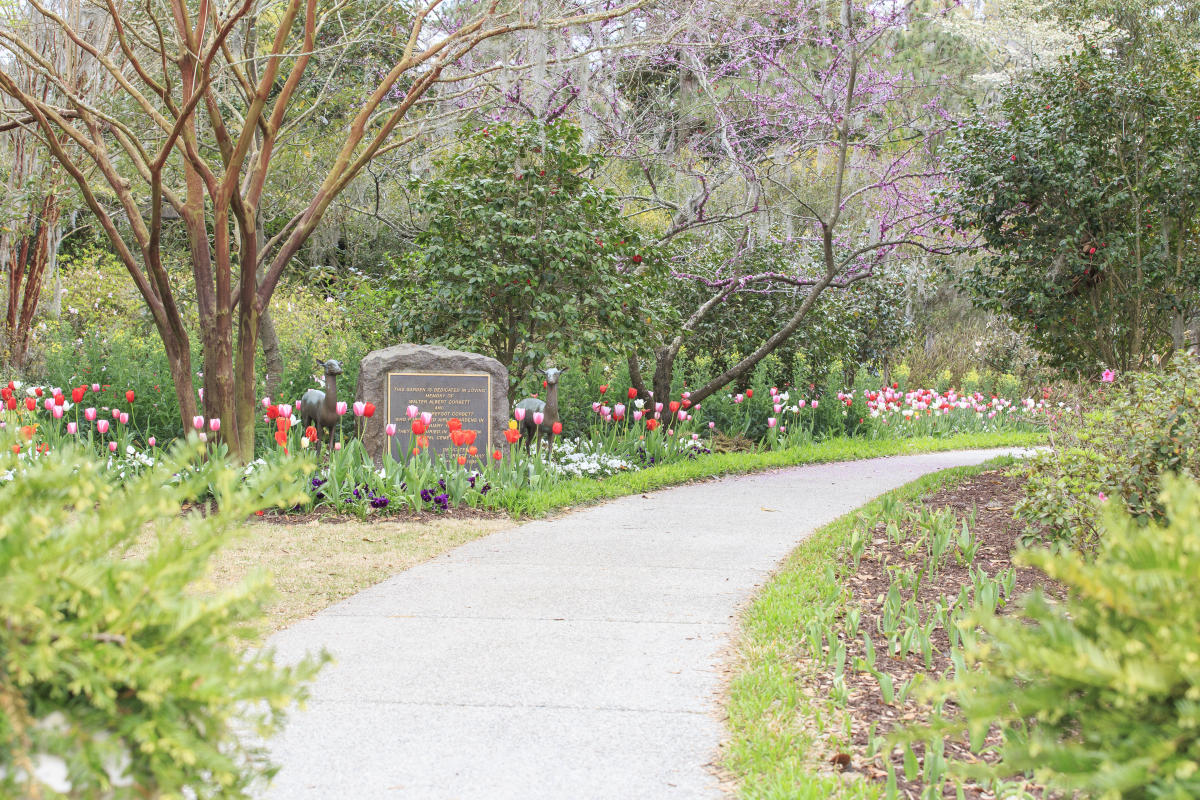 Fun Ways to Spend Spring Break in Wilmington, North Carolina