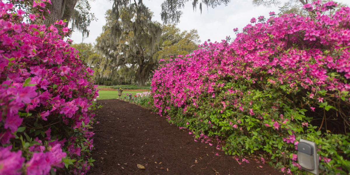 Spring Events, Festivals & Things to do in Wilmington & Beaches