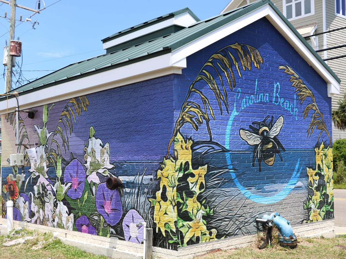 One-of-a-Kind Offerings in Carolina Beach