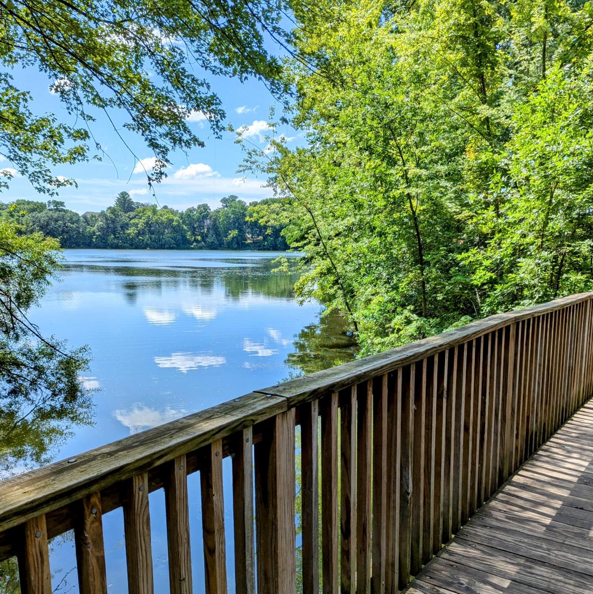 Base | Powers Lake Trail