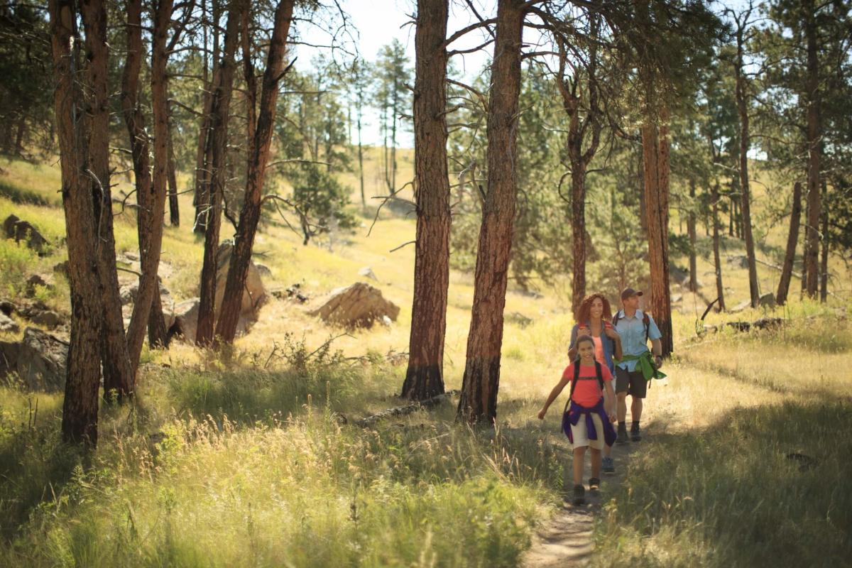 Family-Friendly Activities to Add to Your Wyoming Bucket List in 2025