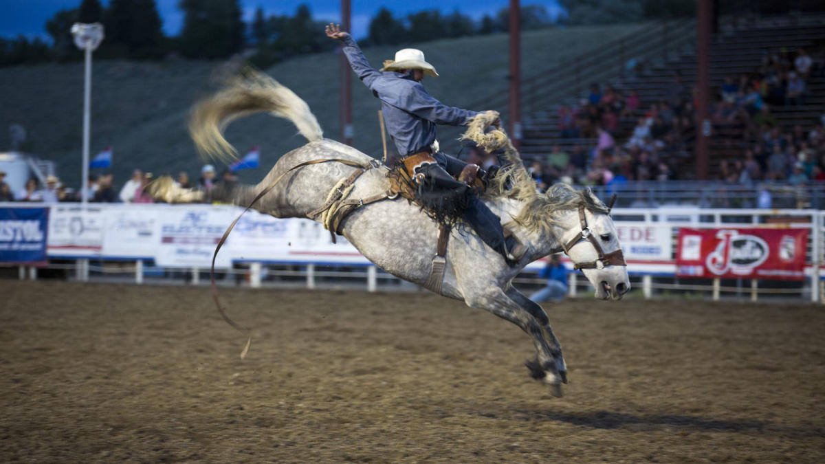 Cowboy up this Summer with these Can't-Miss Wyoming Rodeos