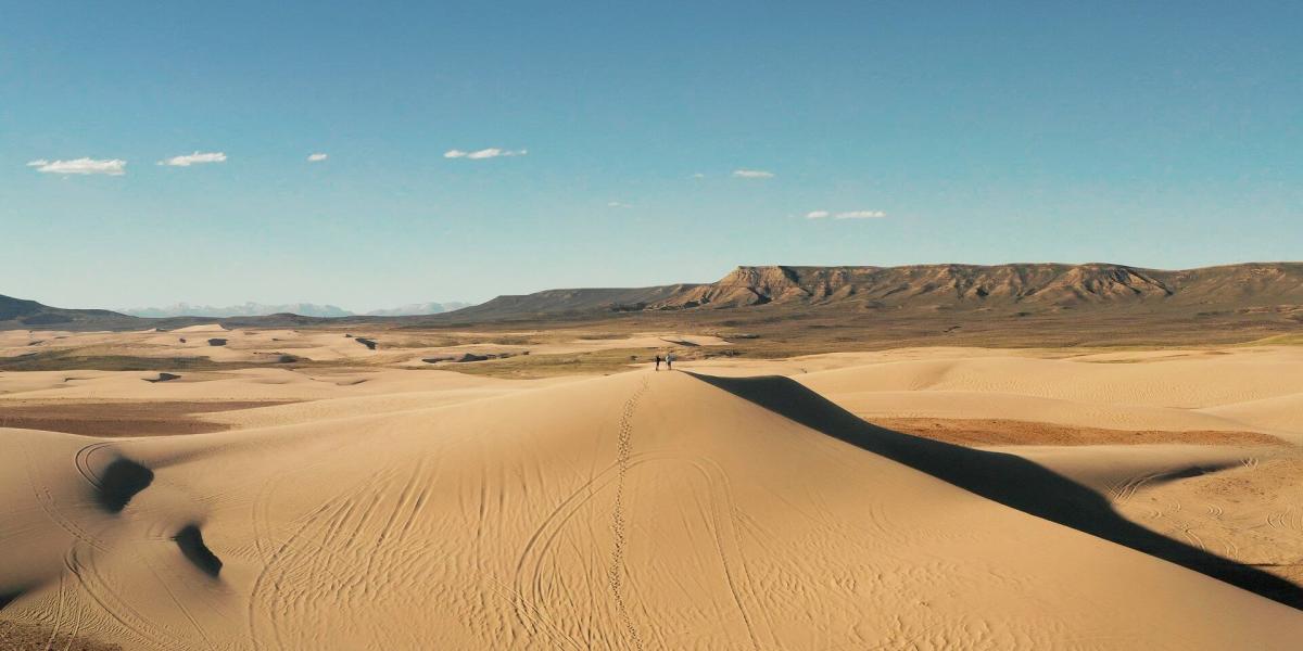 Sand Surfing: What It Is & Where to Go