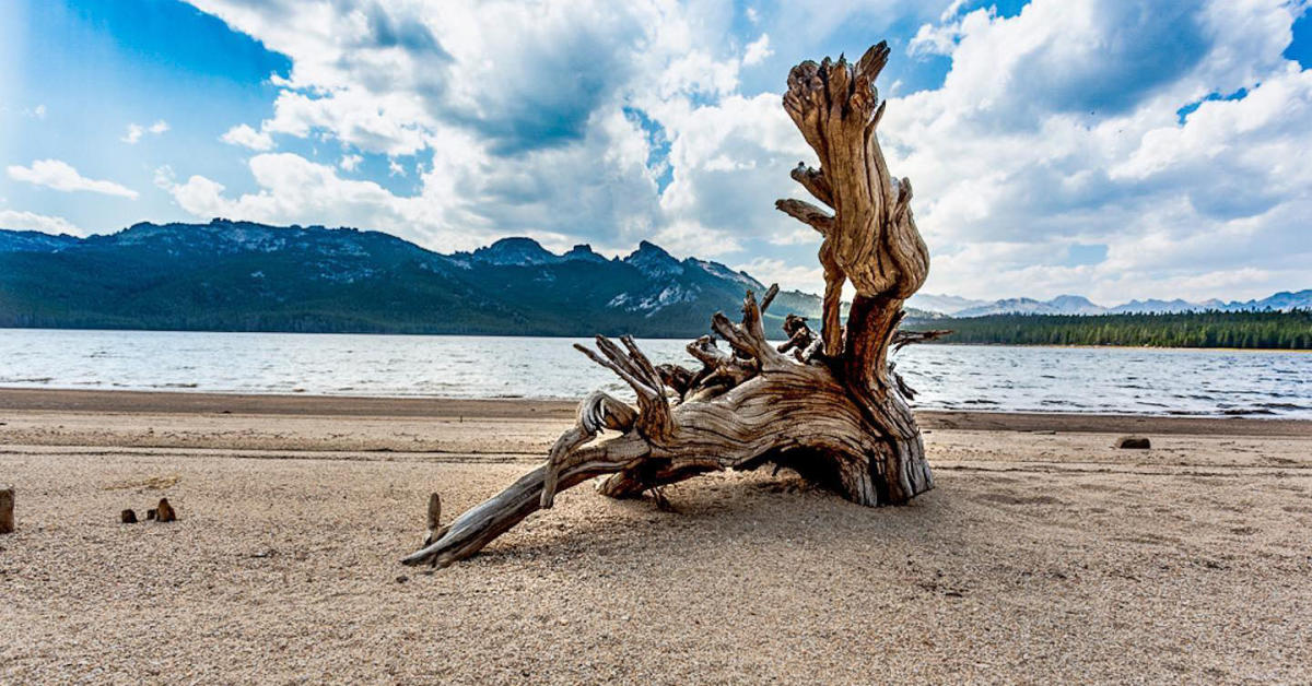 Discover These Hidden Gems in Yellowstone National Park