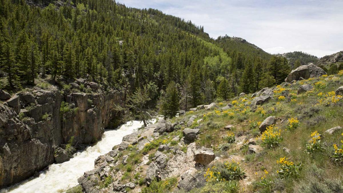 Virtual Tours in Wyoming