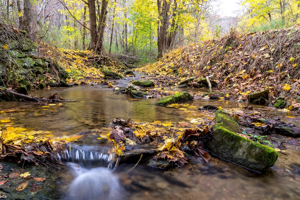 Spring Valley County Park | York County, PA | Outdoor Activities