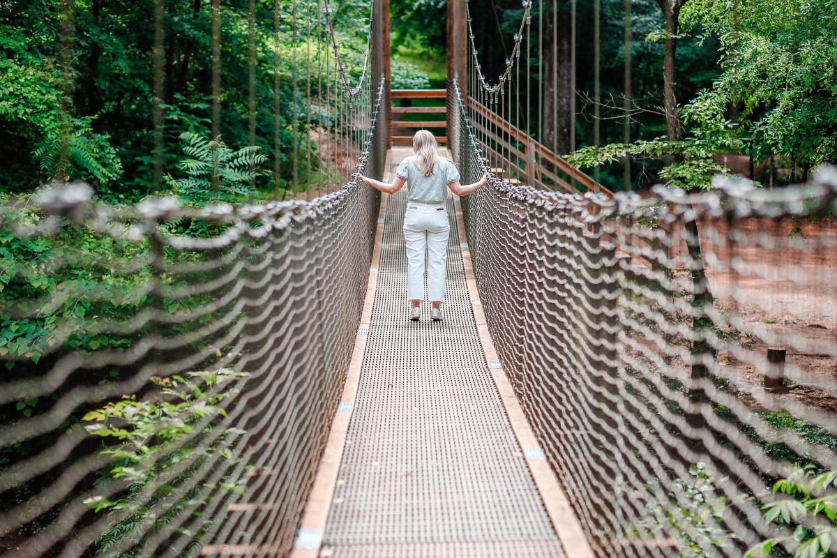 10 Things to do at the Anne Springs Close Greenway