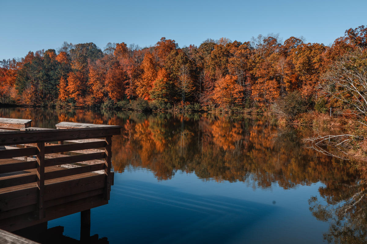 Top Spots for Fall Foliage in York County, South Carolina