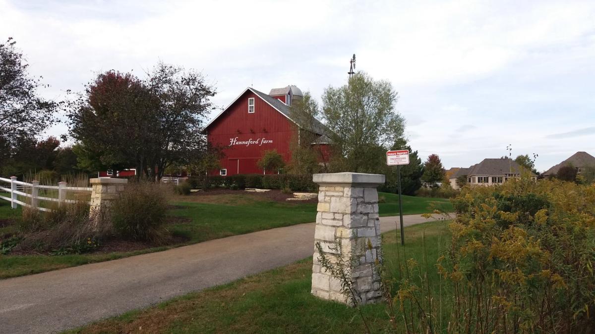 Hannaford Woods - Nickels Farm Forest Preserve