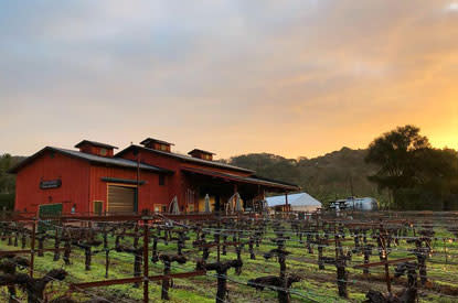Martin Ranch Winery