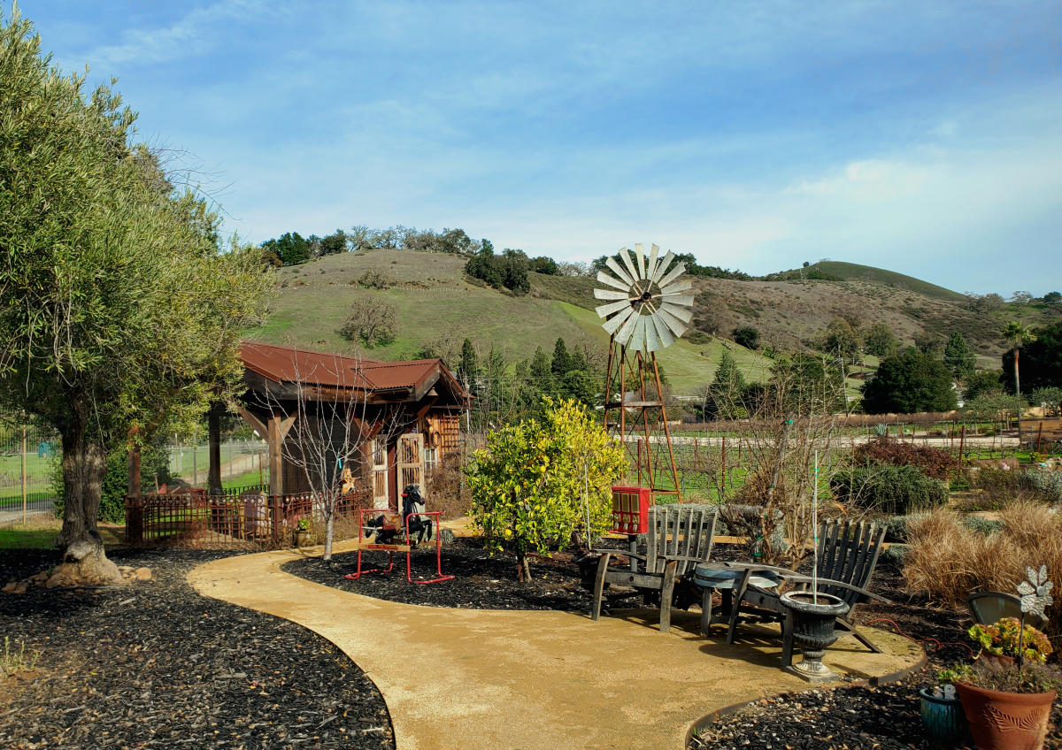 Horse Thief Vineyard