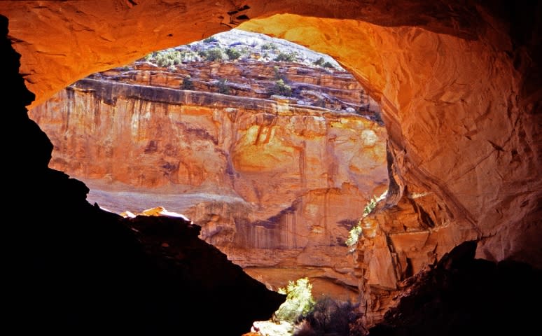 Black Ridge Canyons Wilderness