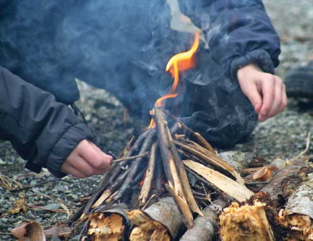 Nature Knowledge Programs