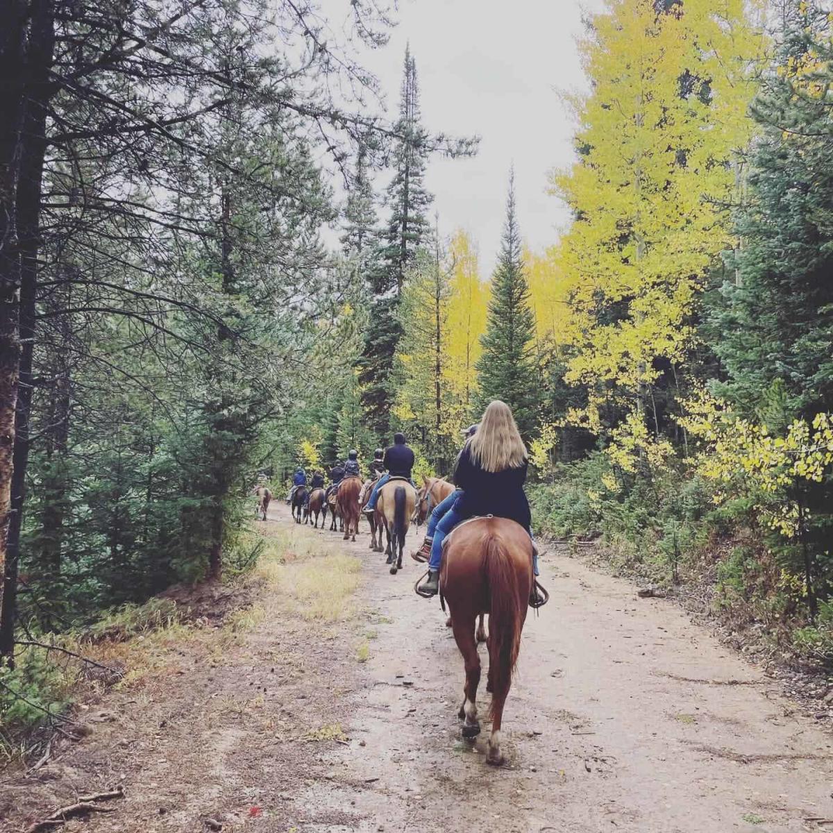 Rocky Mountain Stables | Granby, CO