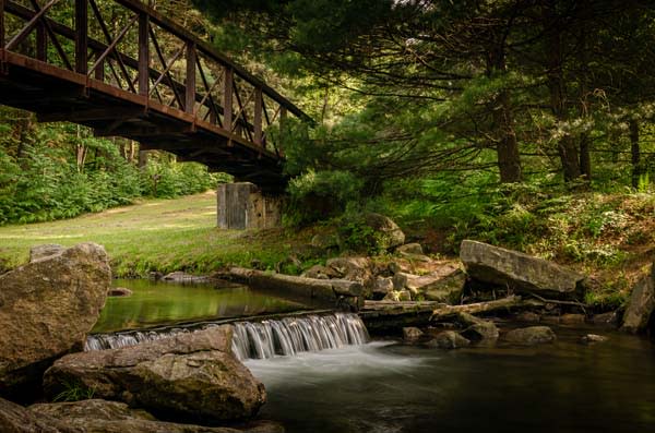 Cook Forest Top Hill Cabins | Pennsylvania