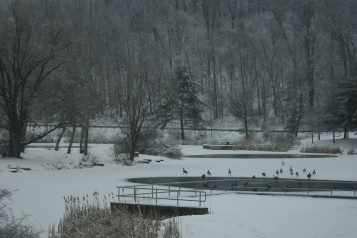 Duman Lake County Park | Pennsylvania
