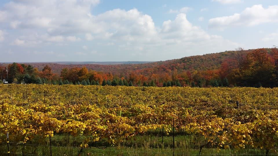 Lopez Winery and Vineyard | Pennsylvania