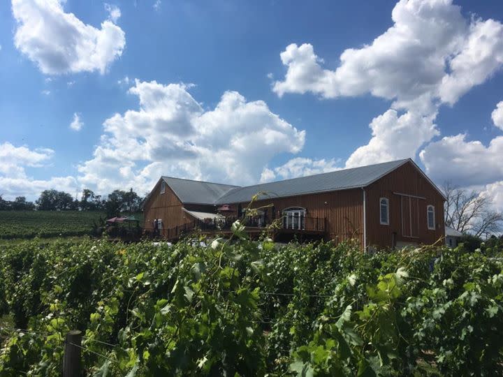 Shade Mountain Winery & Vineyards | Pennsylvania
