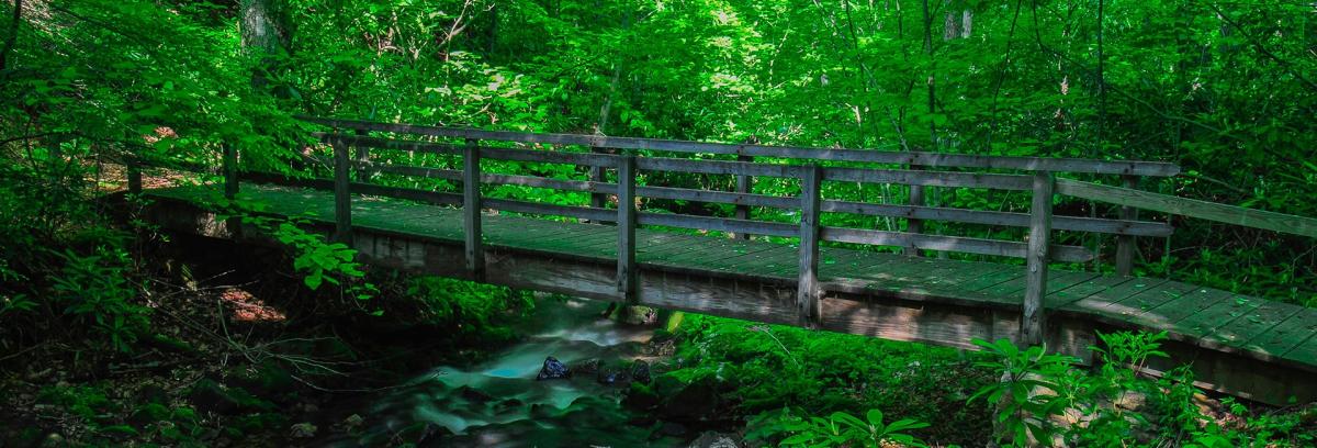 Bear Run Nature Reserve | Pennsylvania