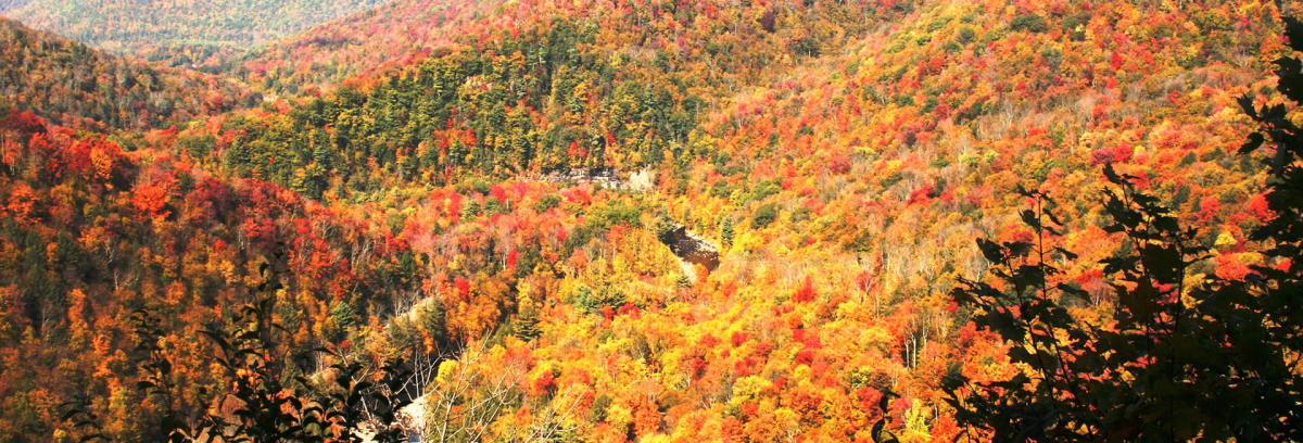 Endless Mountains Visitors Bureau | Pennsylvania
