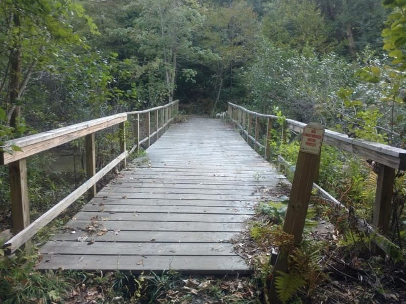 Clendon Brook Preserve