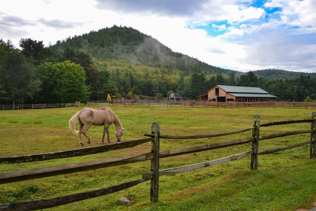 Mountain View Rocking B Ranch