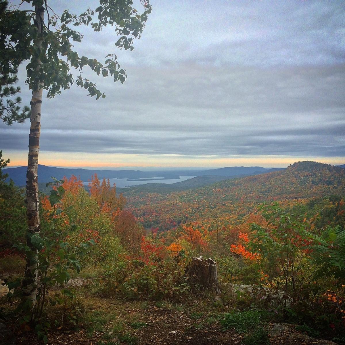Up Yonda Farm Birding